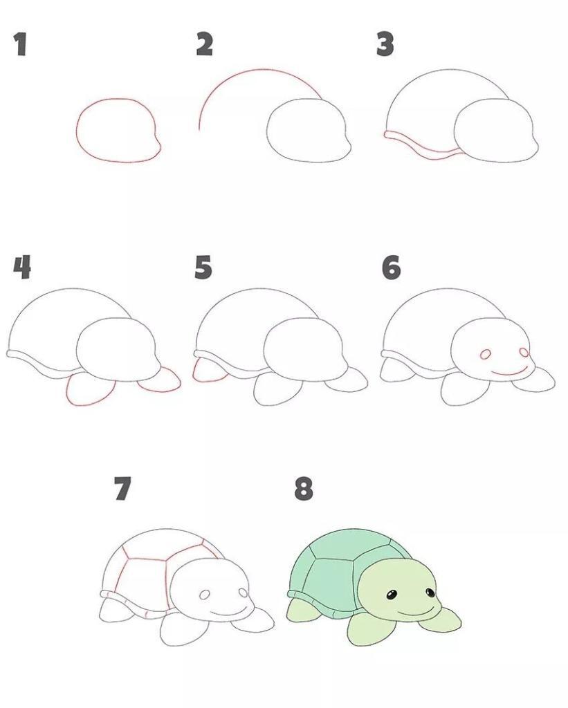 Hoe Stap voor Stap een Schildpad Tekenen – Stap Voor Stap Tekenen