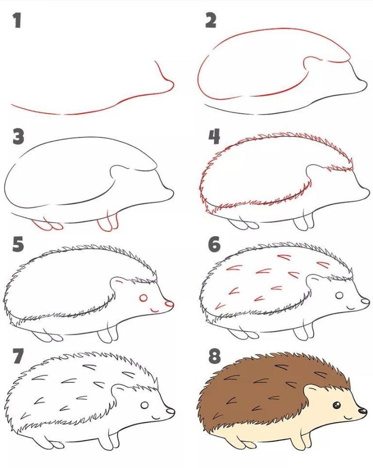 Hoe stap voor stap een egel tekenen? – Stap Voor Stap Tekenen