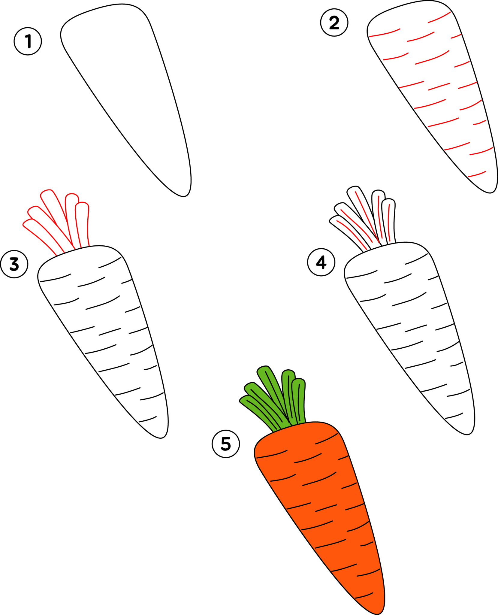 Hoe stap voor stap een wortel tekenen? – Stap Voor Stap Tekenen
